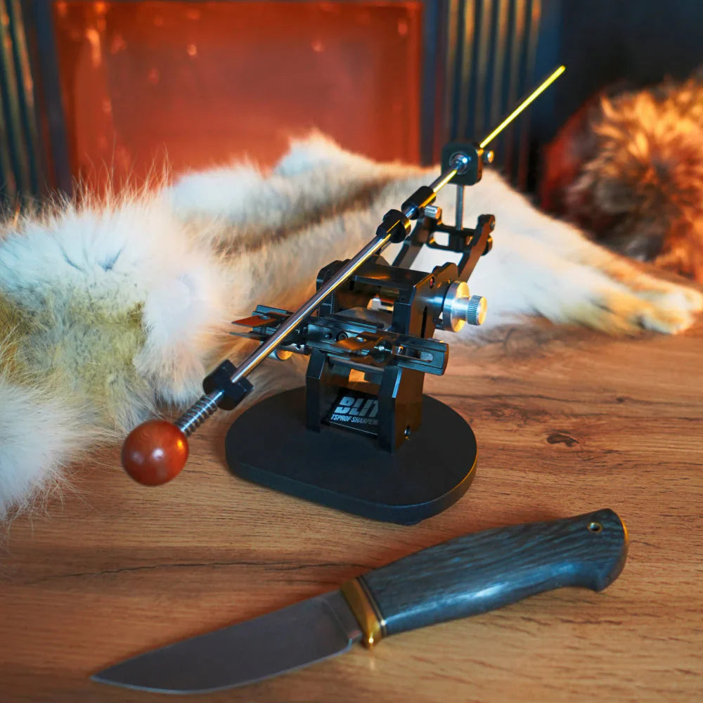 Blitz — TSPROF Europe